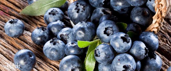 التوت الأزرق: هل هو غذاء خارق؟ - ويب طب